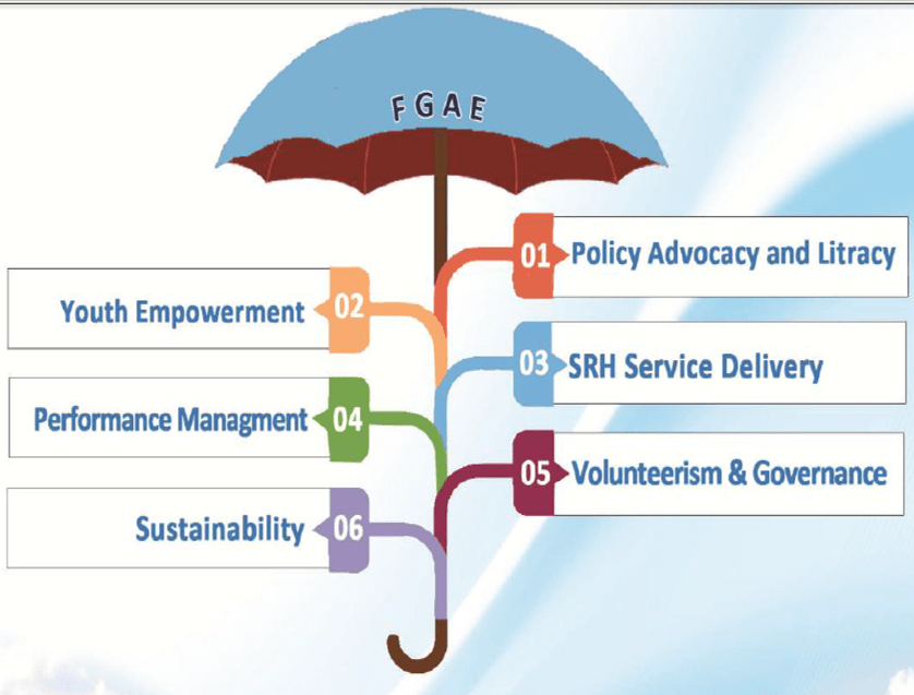Strategic Plan – Family Guidance Association of Ethiopia